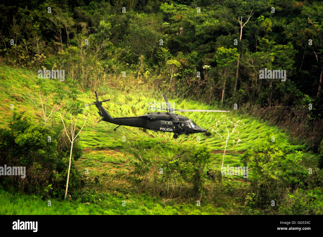 Colombian anti-drug police during operation of destroying cocaine ...