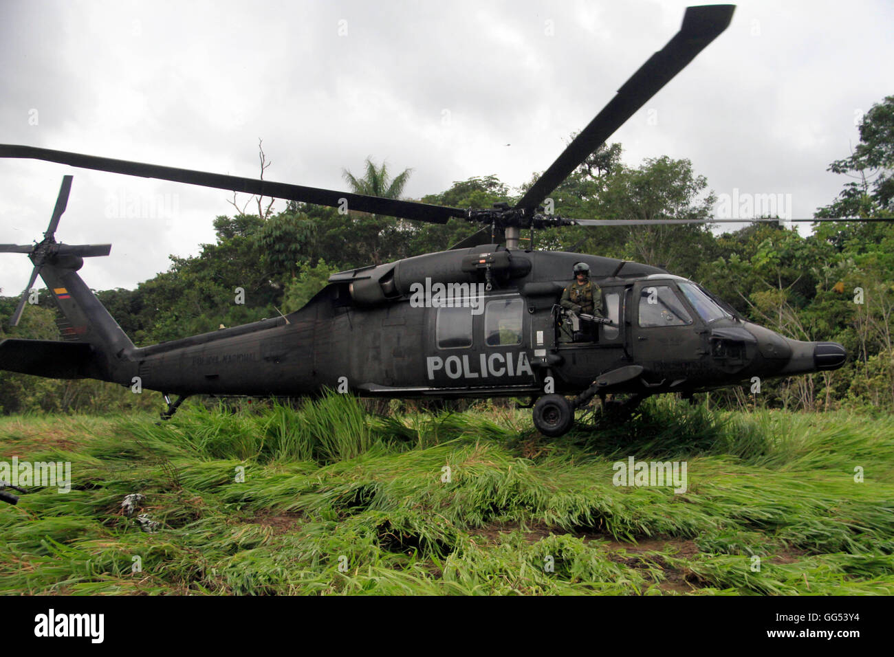 Colombian anti-drug police during operation of destroying cocaine ...