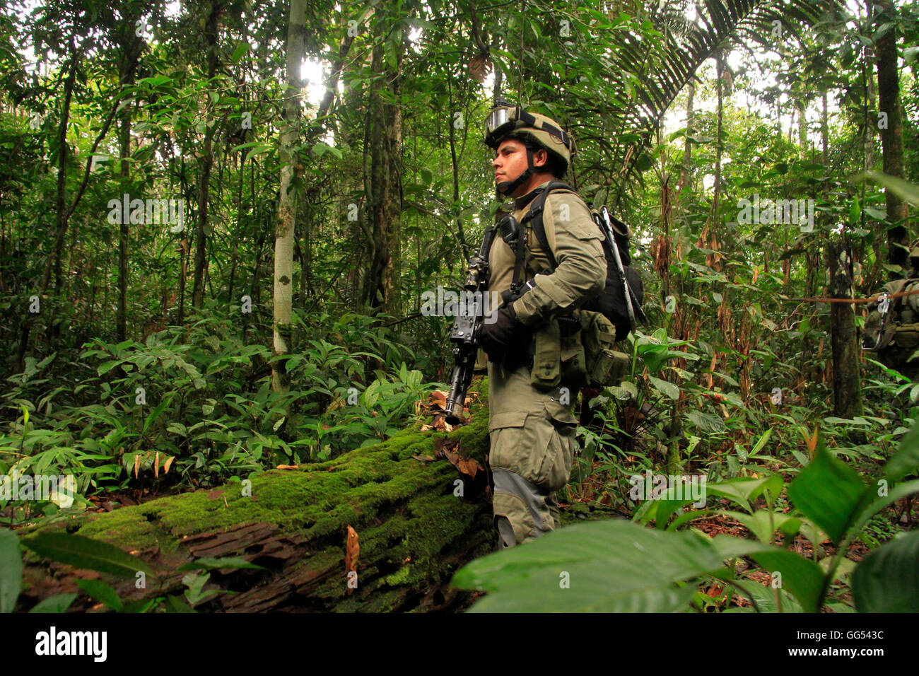 Colombian anti-drug police during operation of destroying cocaine ...