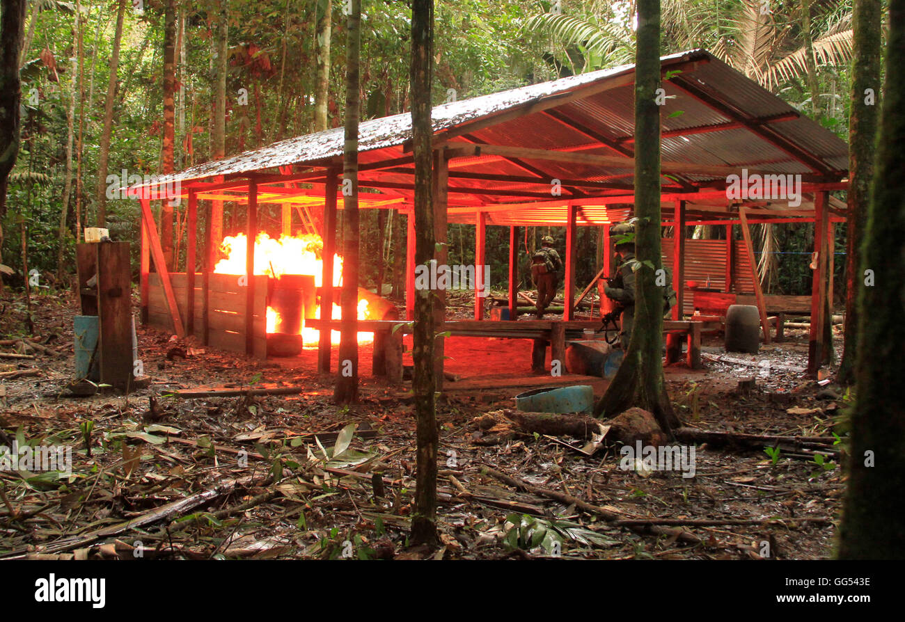 Colombian anti-drug police during operation of destroying cocaine ...