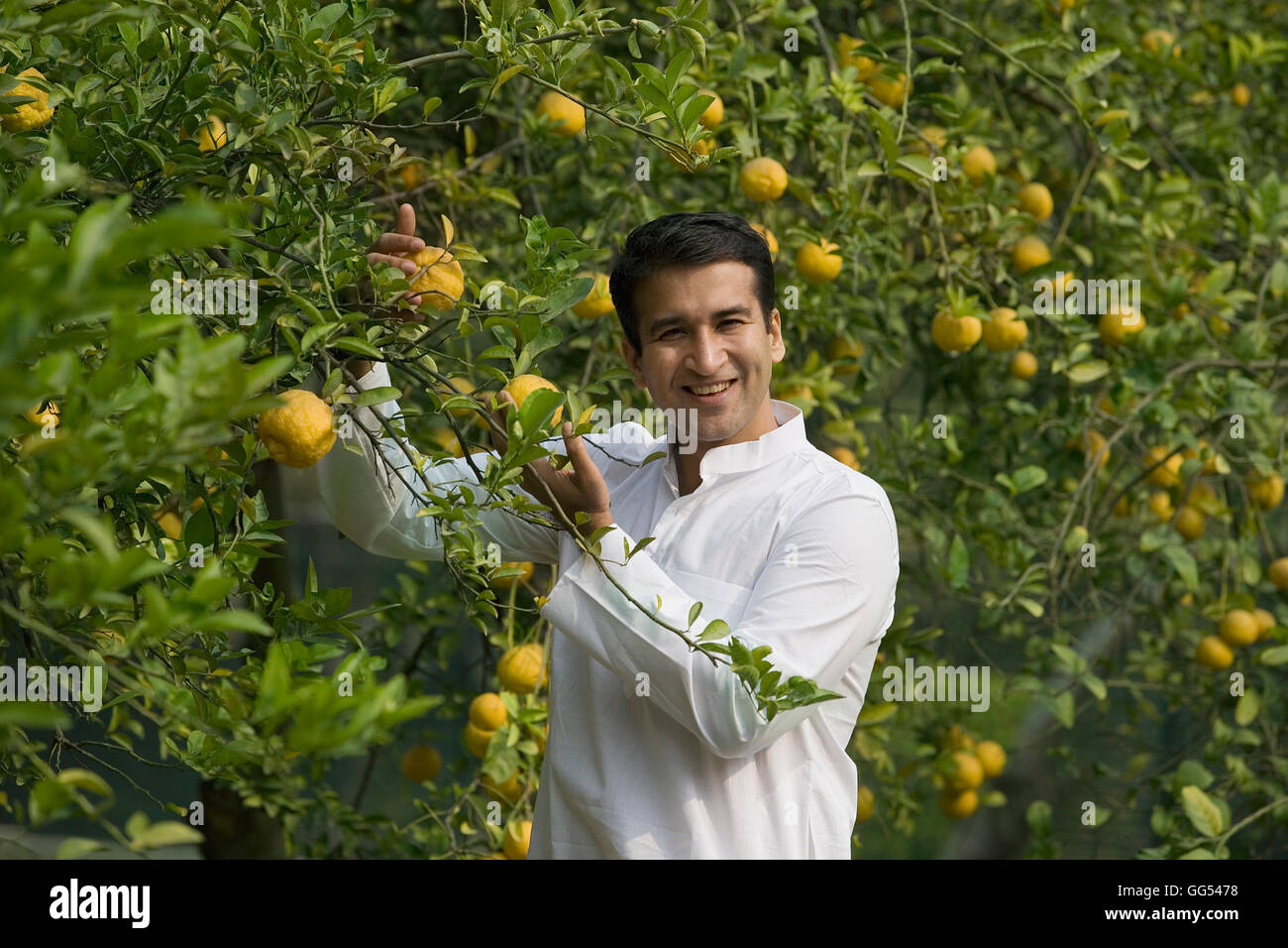 Man standing next to a tree Stock Photo - Alamy