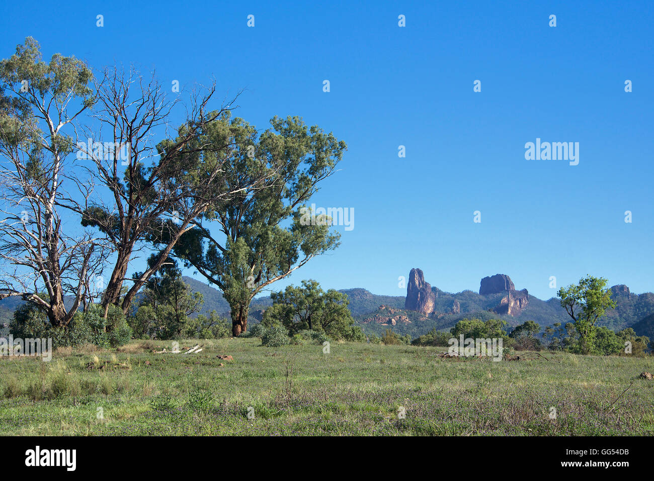 Belougery Spire and Crater Bluff Warrumbungles NP NSW Australia Stock ...