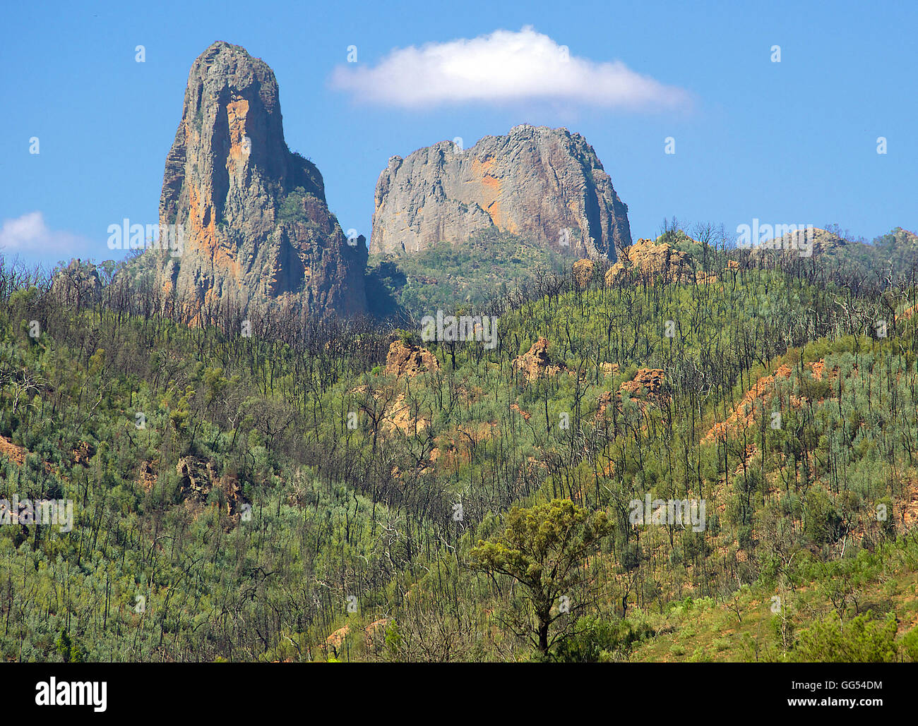 Belougery Spire and Crater Bluff Warrumbungles NP NSW Australia Stock ...