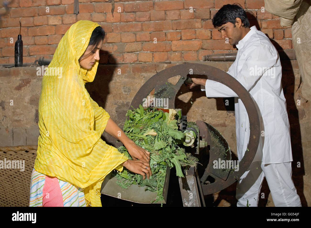 Fodder cutting machine hi-res stock photography and images - Alamy
