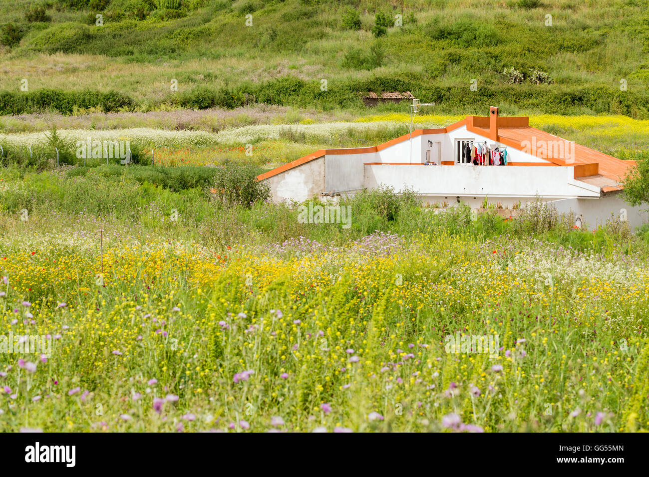 Farmhouse in the rural Erjos area in the west of Tenerife, Canary ...