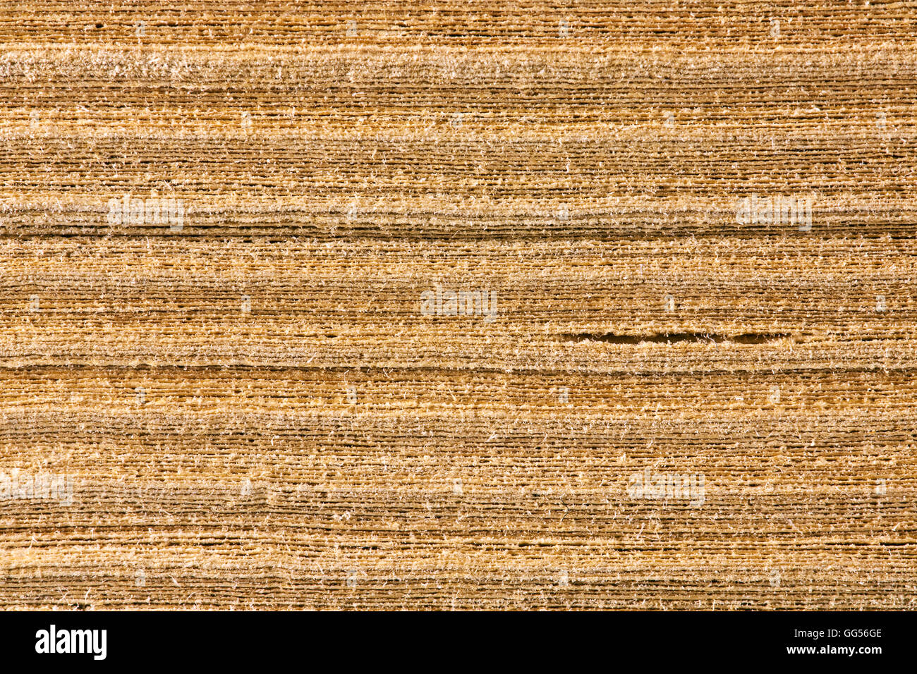 Aged yellow paper of the old book Stock Photo - Alamy