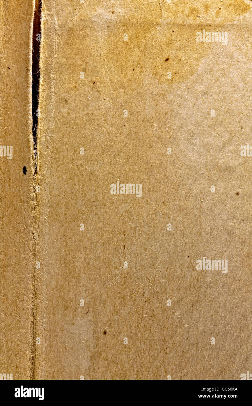 Torn blank page from hi-res stock photography and images - Alamy