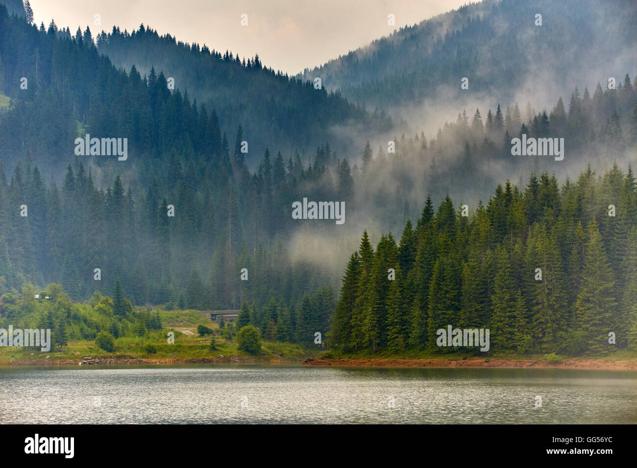 Landscape with lake Vidra in Southern Carpathians Stock Photo - Alamy