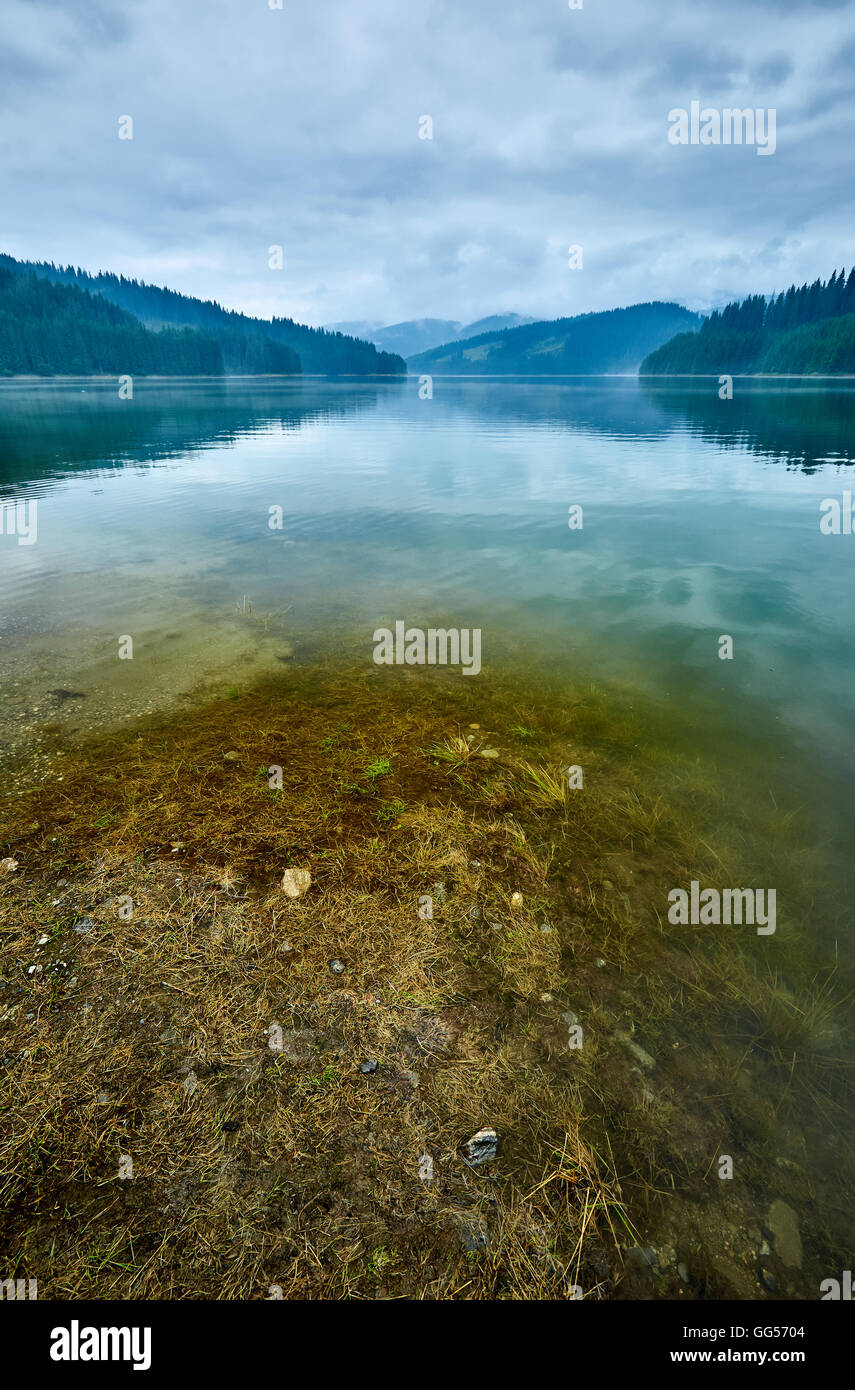 Landscape with lake Vidra in Southern Carpathians Stock Photo - Alamy