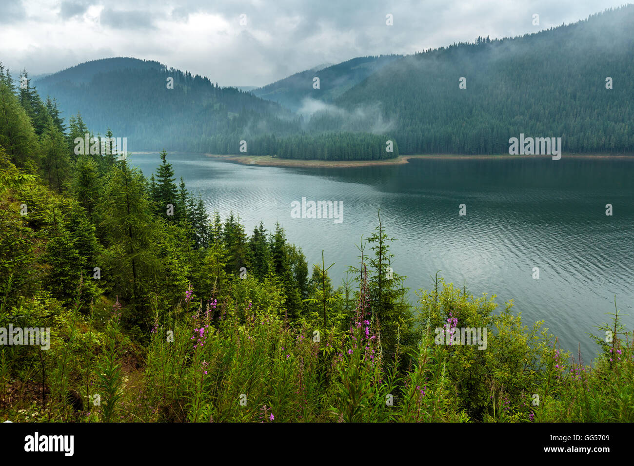 Landscape with lake Vidra in Southern Carpathians Stock Photo - Alamy
