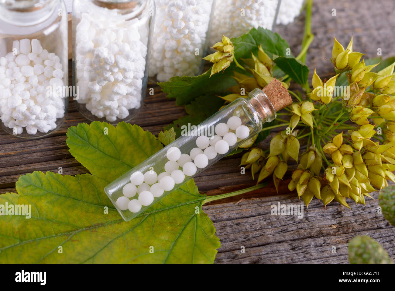 Homeopathic lactose sugar globules in glass bottles with plants Stock ...
