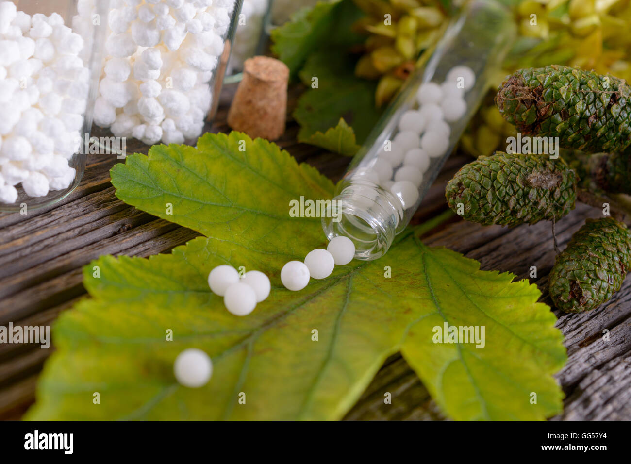 Homeopathic lactose sugar globules in glass bottles with plants Stock ...