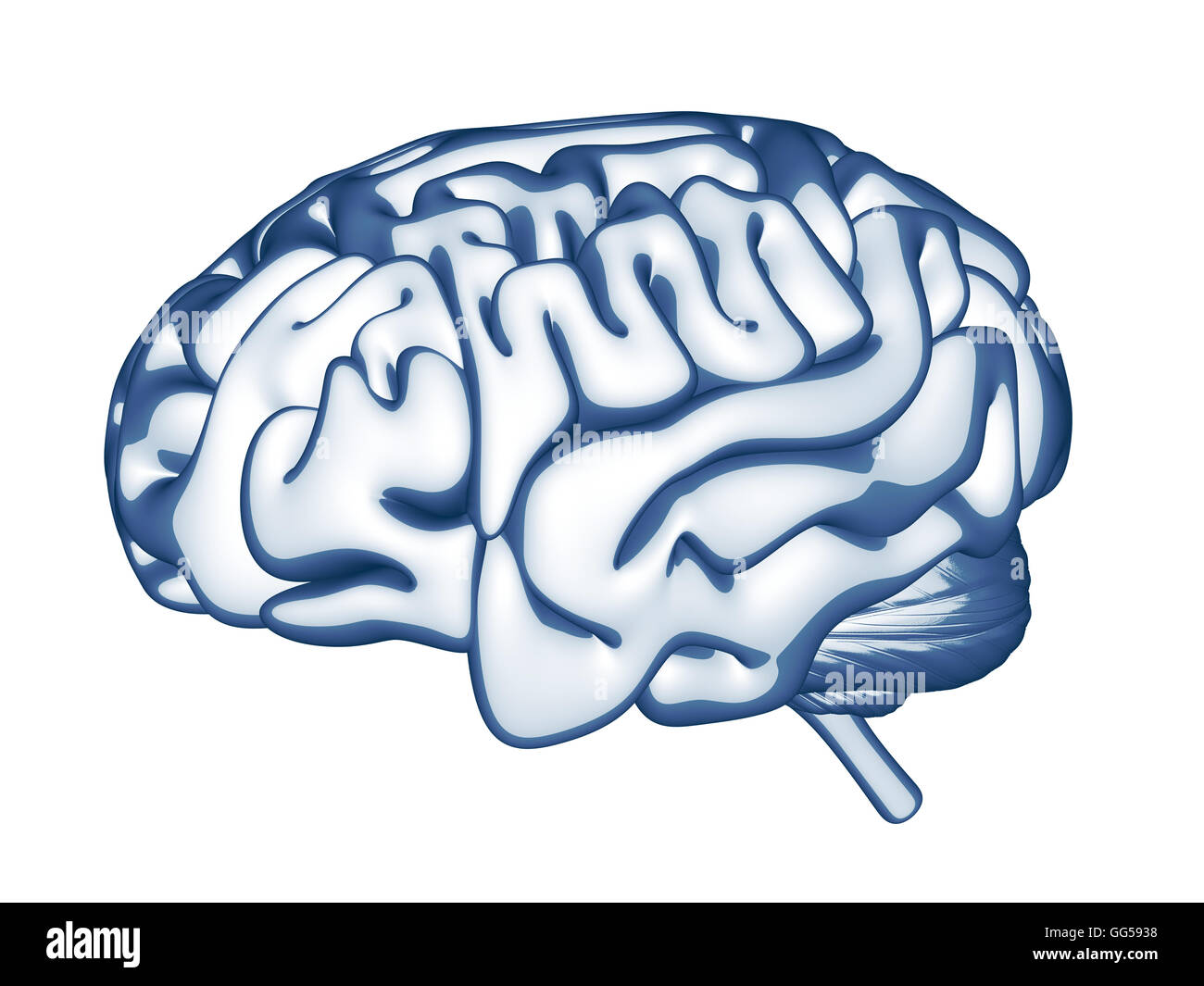 Human brain symbol hi-res stock photography and images - Alamy