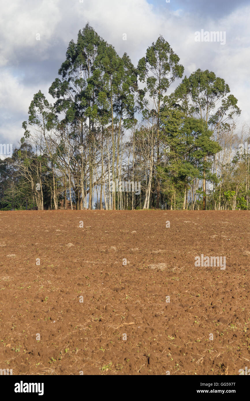 Land being prepared for agriculture hi-res stock photography and images ...