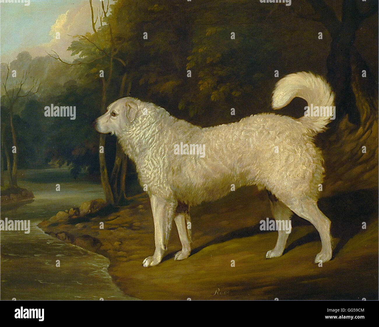 David dalby hi-res stock photography and images - Alamy