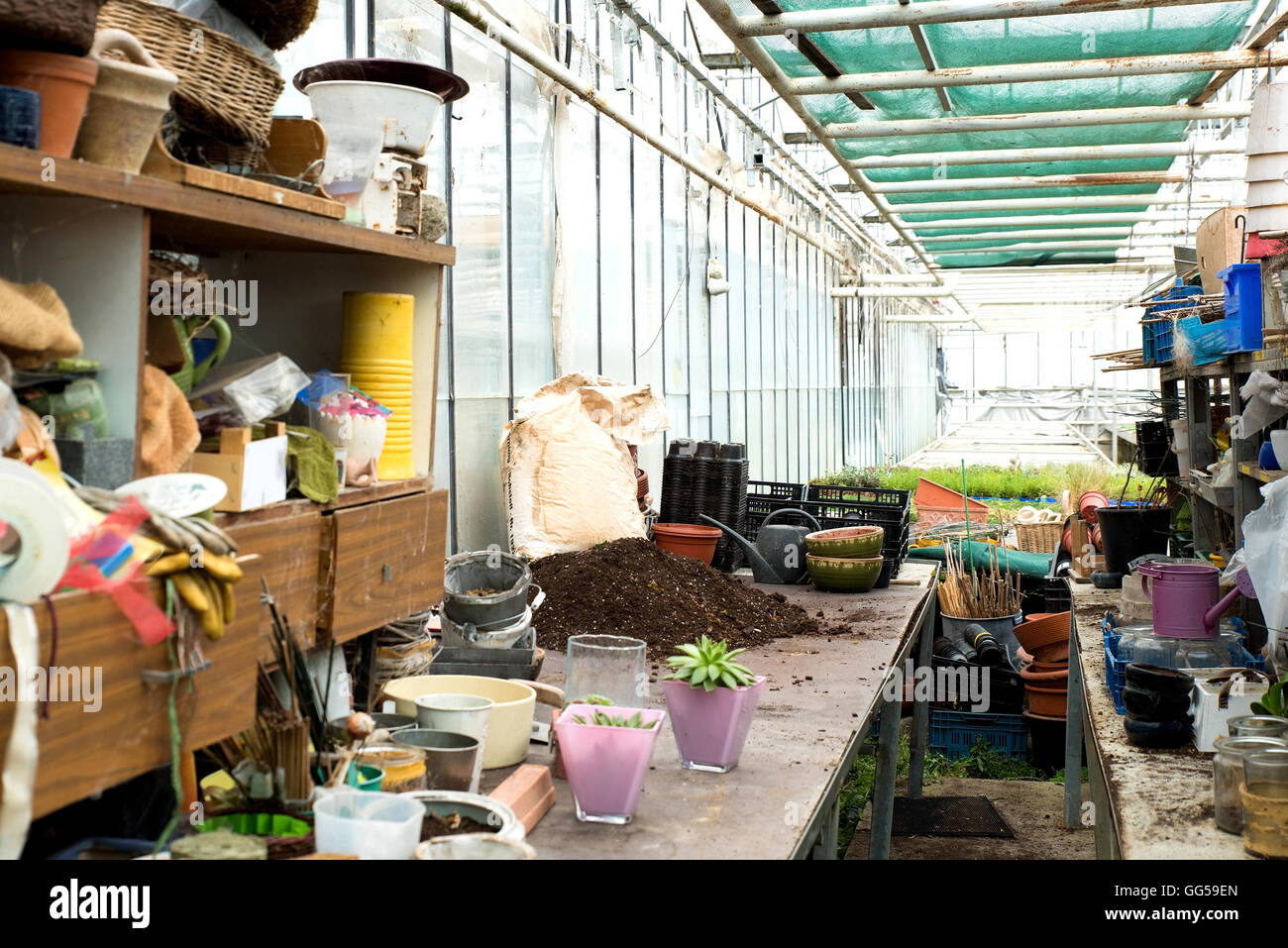 Interior of a garden shop, greenhouse Stock Photo - Alamy