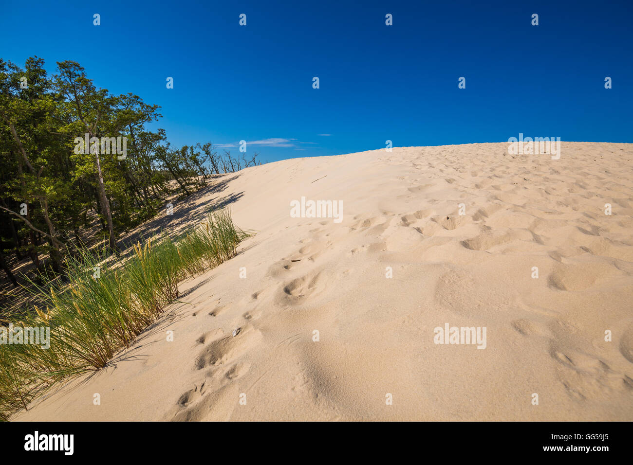 Desert landscape, Slowinski National Park near Leba, Poland Stock Photo ...