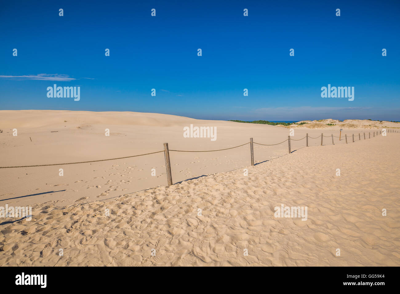 Moving dunes in the Slowinski National Park, Poland Stock Photo - Alamy