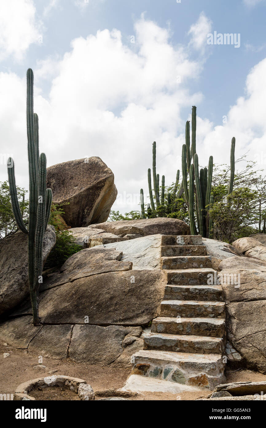 Boulders, Divi Divi Trees and Cactus in Aruba Garden Stock Photo - Alamy