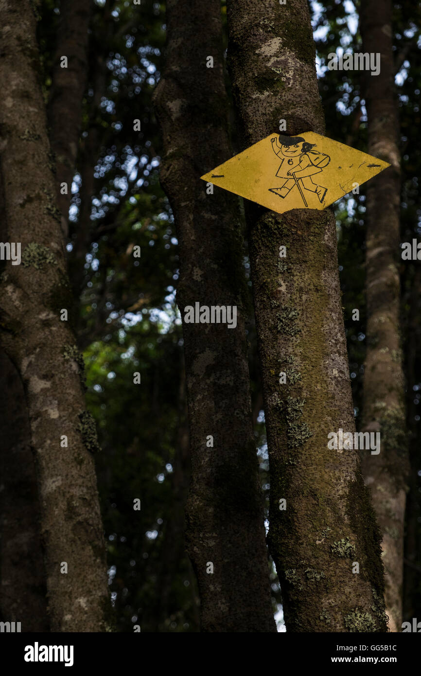Walking route marker sign with tree growing around it, Erjos, Tenerife ...