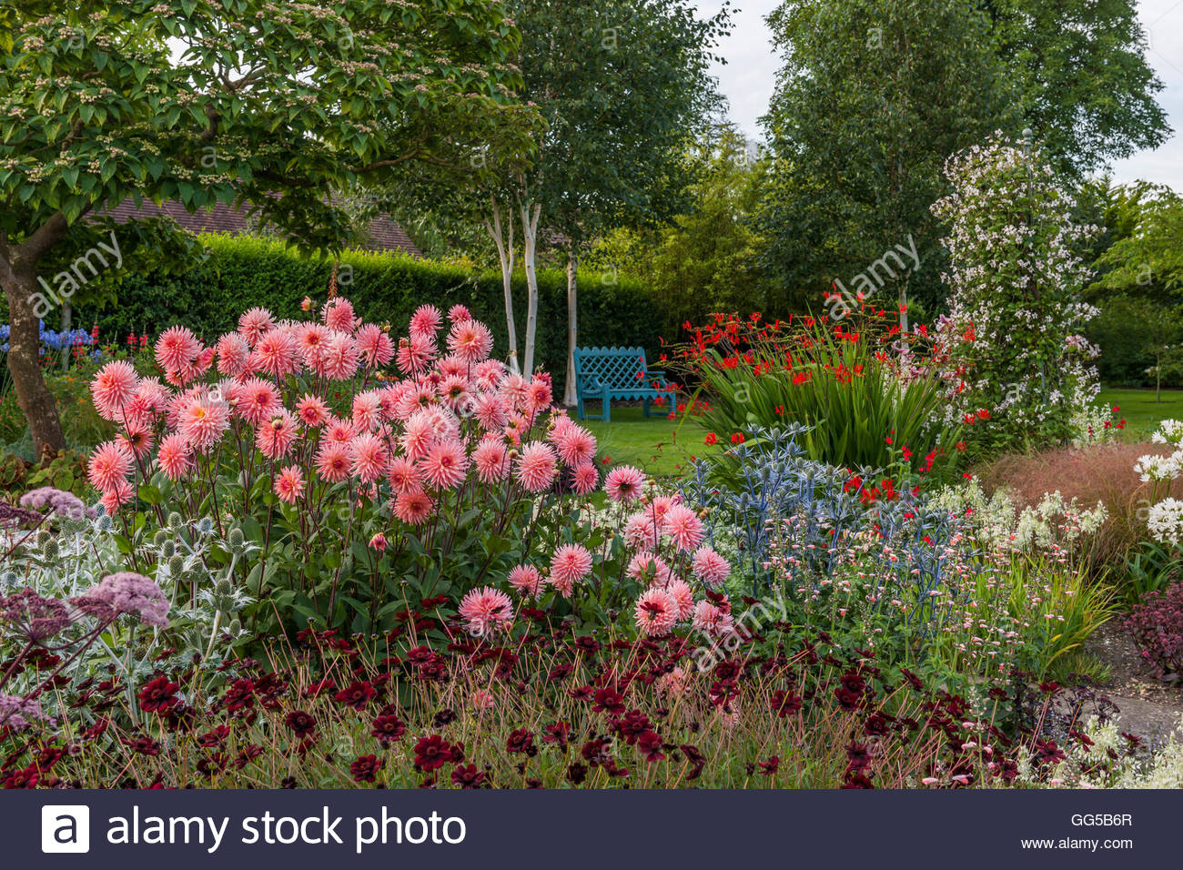 Salvia Border Stock Photos & Salvia Border Stock Images - Alamy