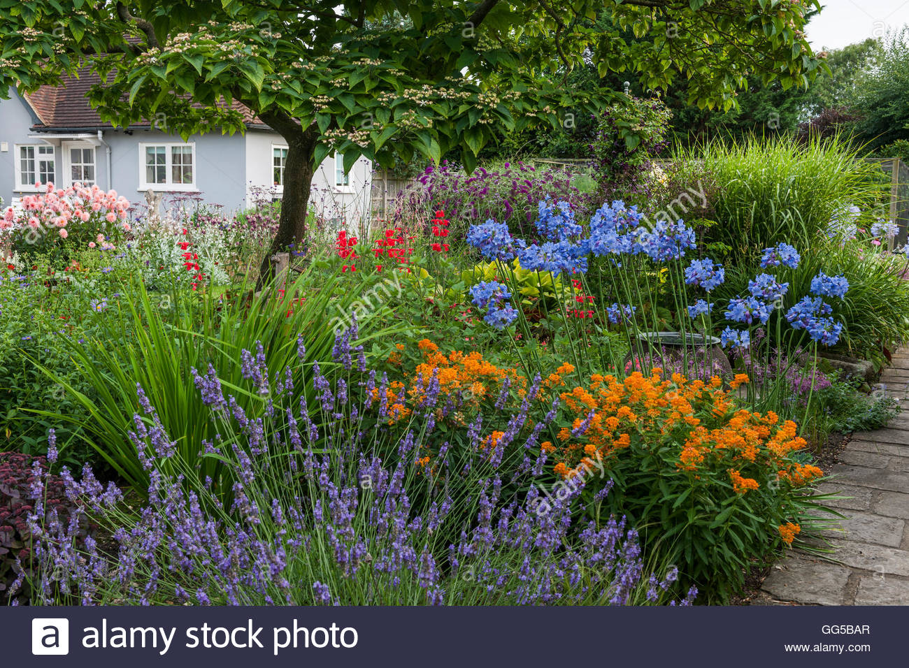 Borders Stock Photos & Borders Stock Images - Alamy