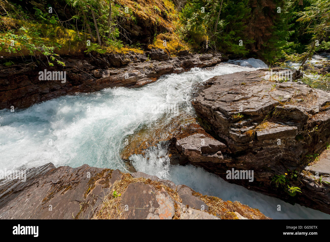 Lower creek hi-res stock photography and images - Alamy