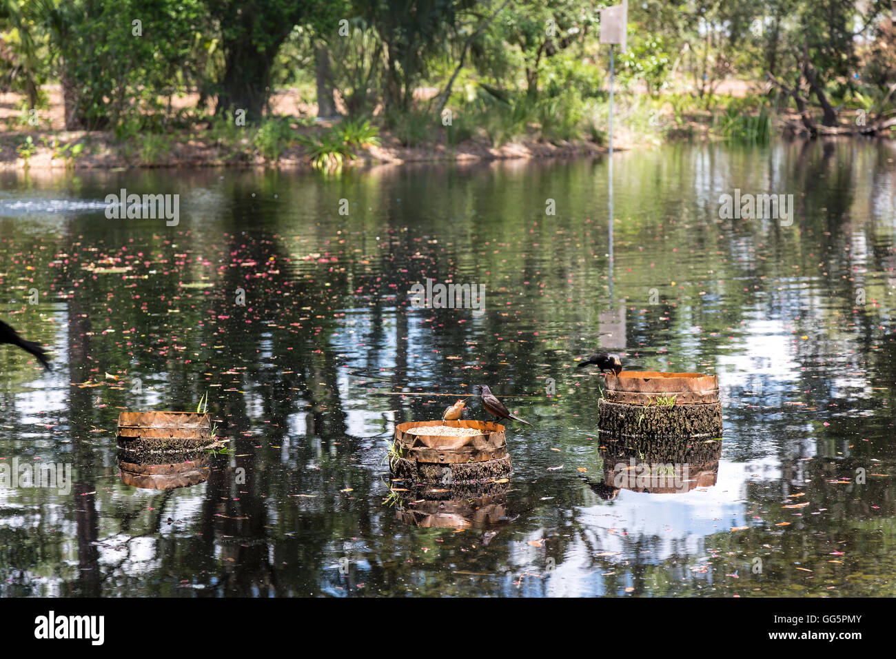 Aviary at the Bok tower botanical garden Stock Photo - Alamy