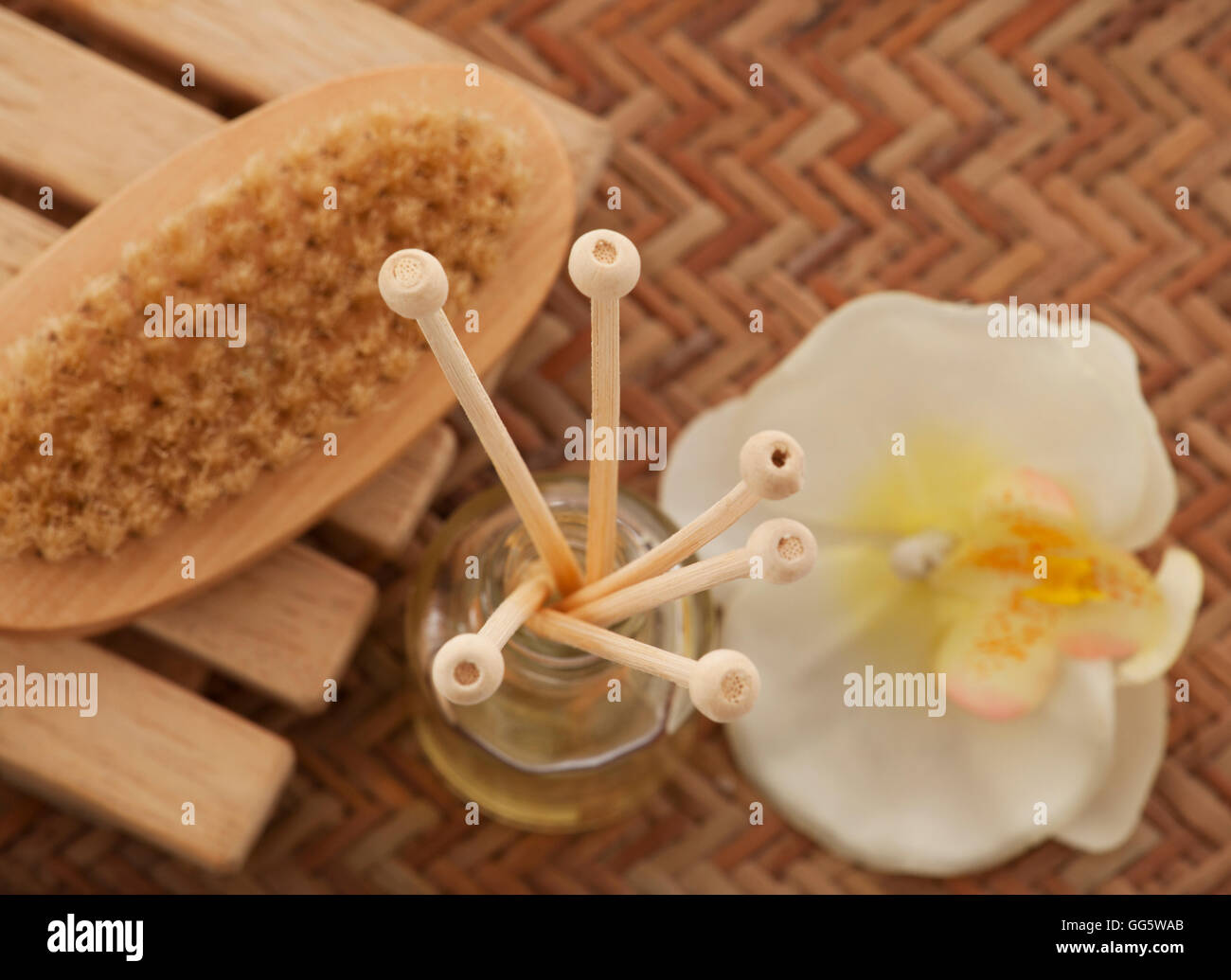 Reed brush hi-res stock photography and images - Alamy