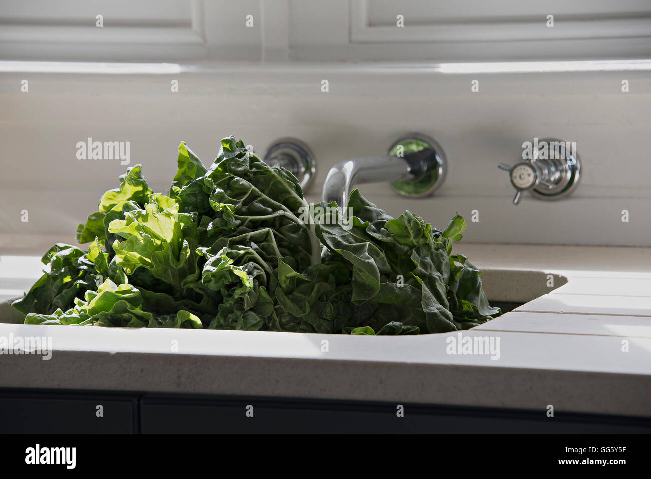 Lettuce in kitchen sink Stock Photo - Alamy