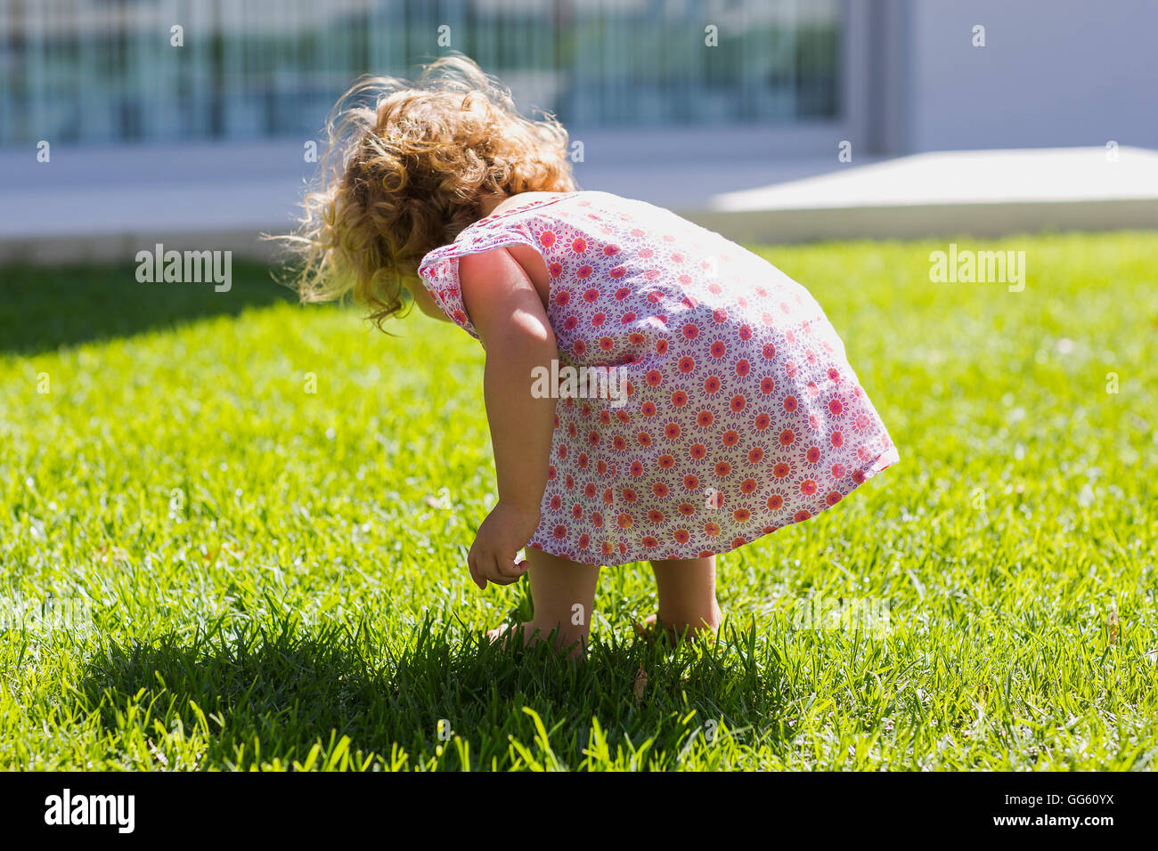 Rear view of a baby girl standing on the grass Stock Photo - Alamy
