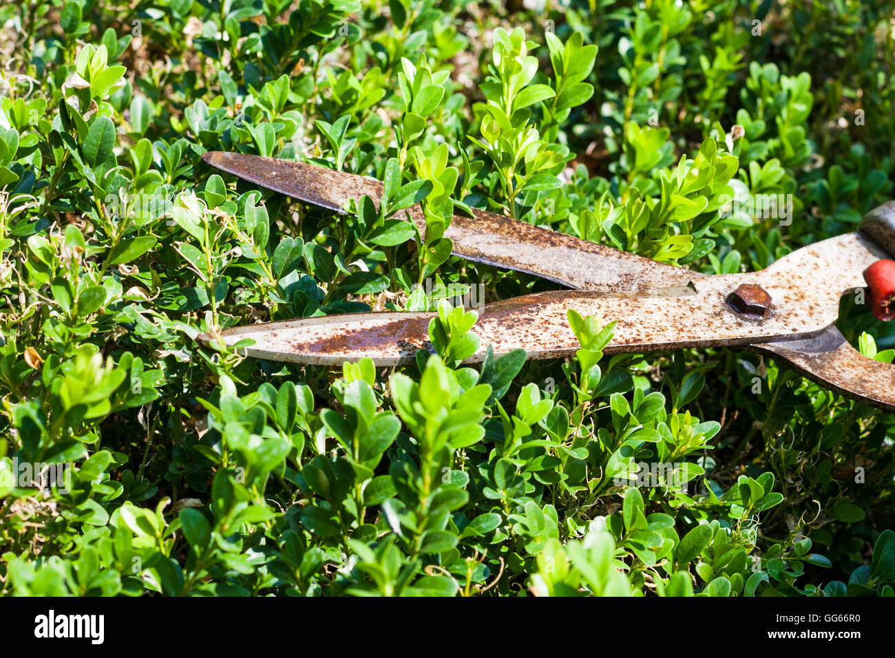 Boxtree hi-res stock photography and images - Alamy