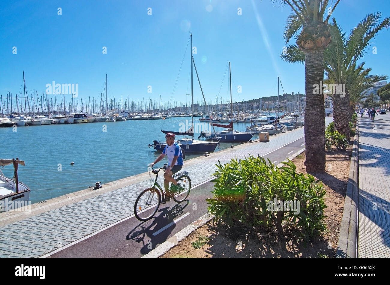 Seaside biking route with marina and palm trees on a sunny day in Palma ...