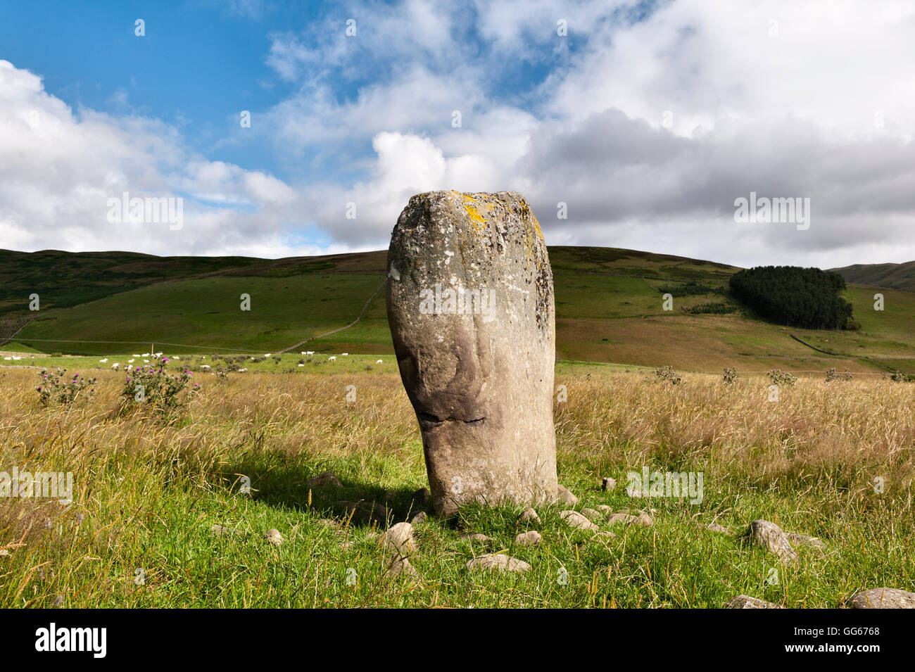Near Yarrow, Selkirk, on the Scottish Borders. The Glebe Stone, a ...