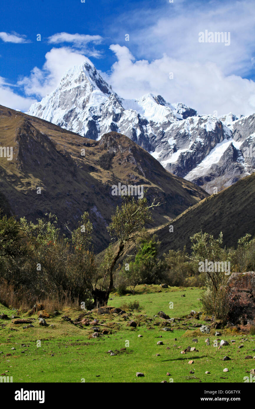 Huasca hi-res stock photography and images - Alamy