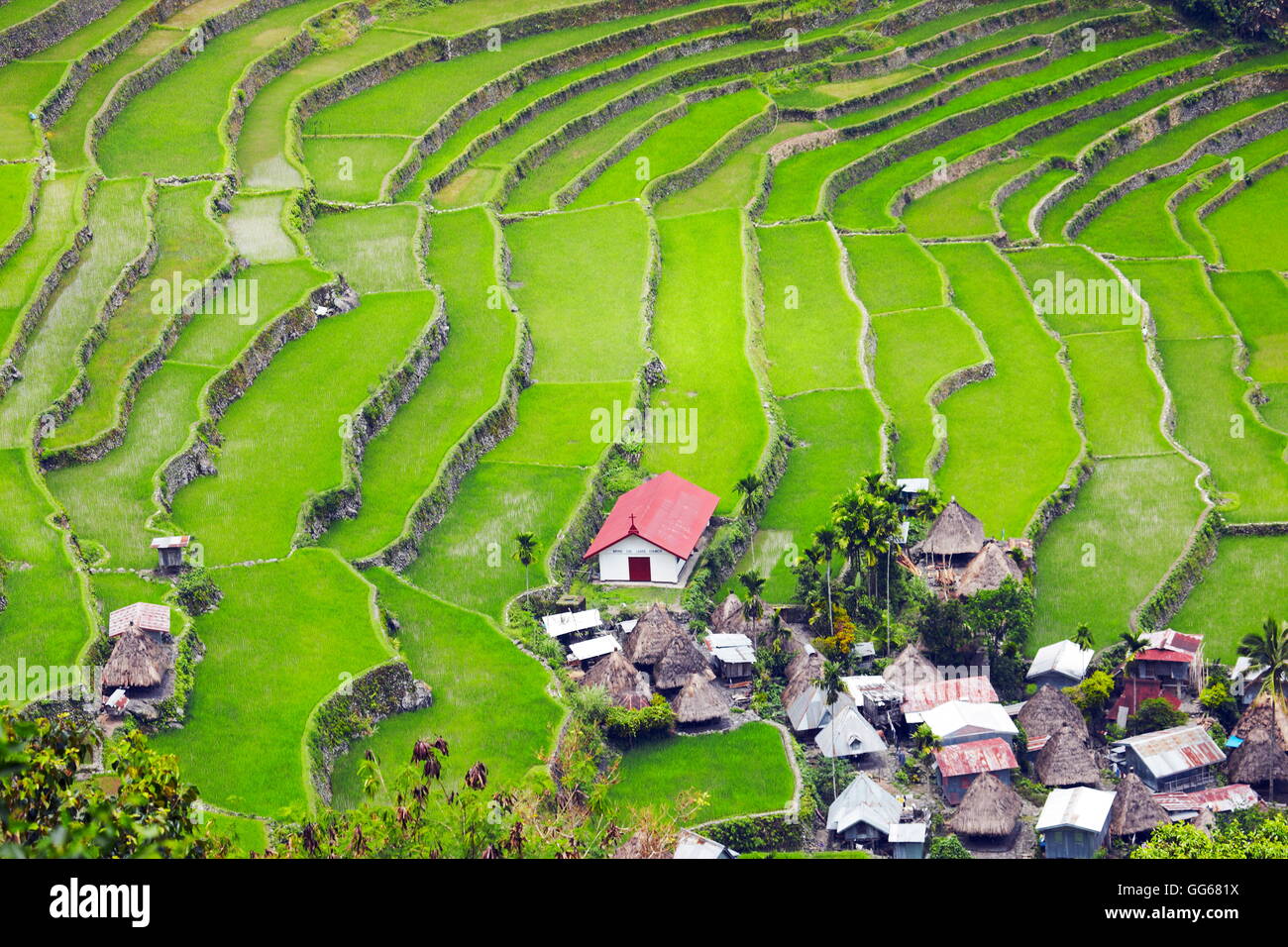 Rice Terraces of the Philippine Cordilleras UNESCO World heritage site ...