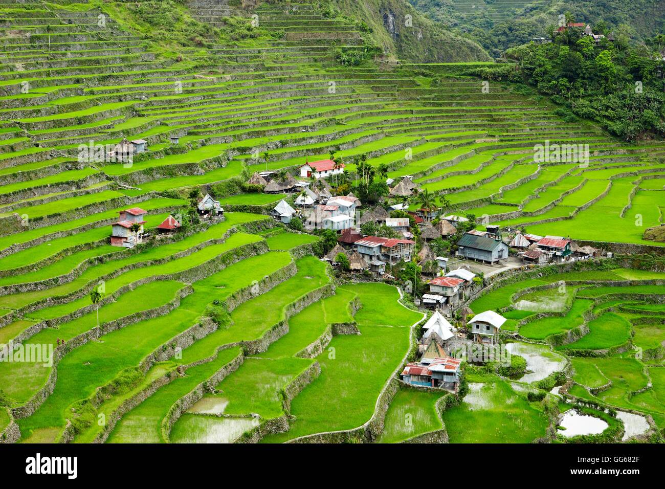 Banaue rice terraces batad philippine cordilleras hi-res stock ...