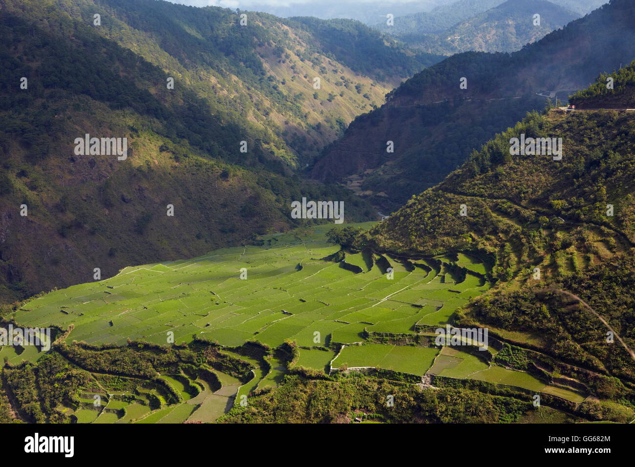 Rice Terraces of the Philippine Cordilleras UNESCO World heritage site ...