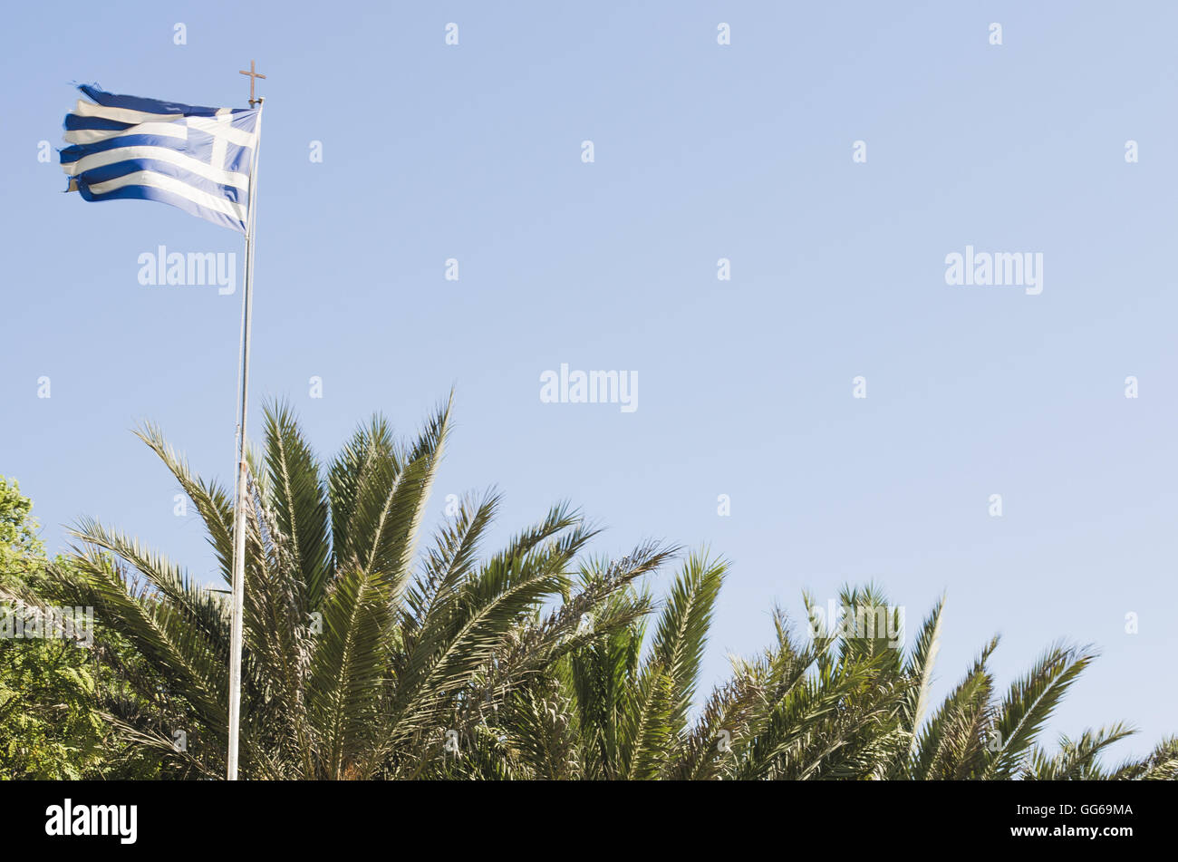 Flag of Greece and palm tree Stock Photo - Alamy