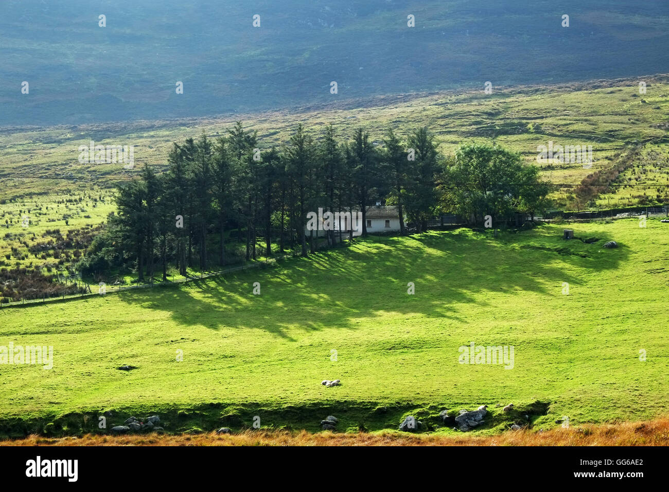 Irish Hillside Cottage High Resolution Stock Photography and Images - Alamy