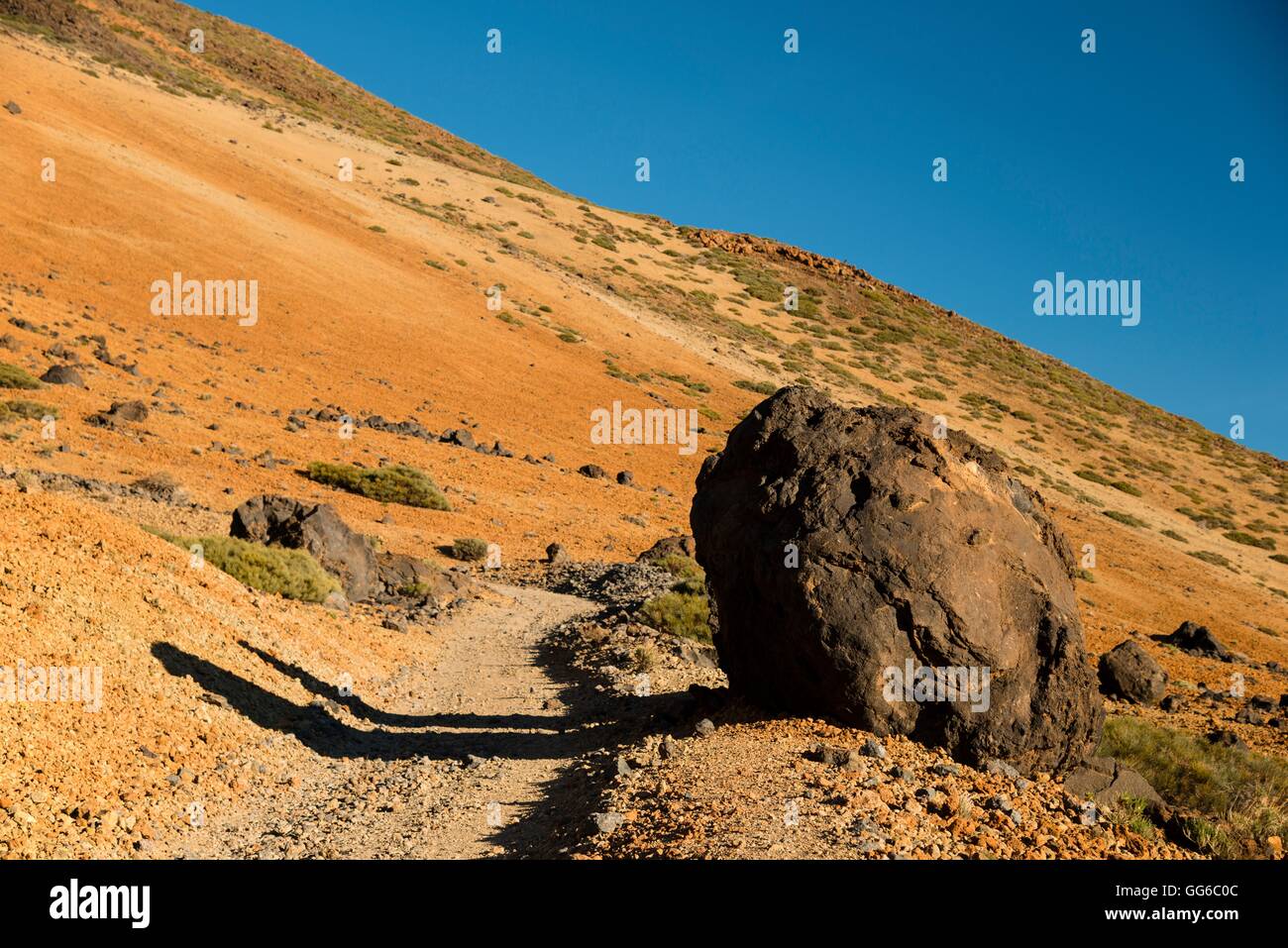 Huevos de teide hi-res stock photography and images - Alamy