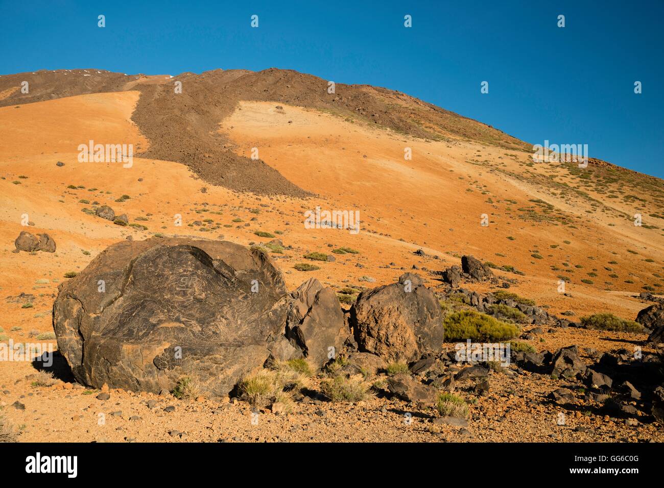 Huevos de teide hi-res stock photography and images - Alamy