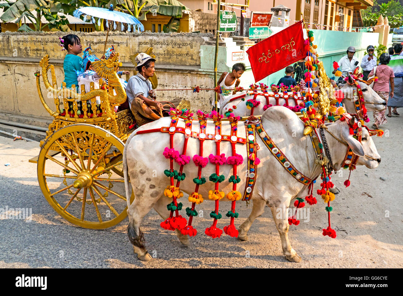 Decorated ox cart, Sagaing, Myanmar Stock Photo - Alamy