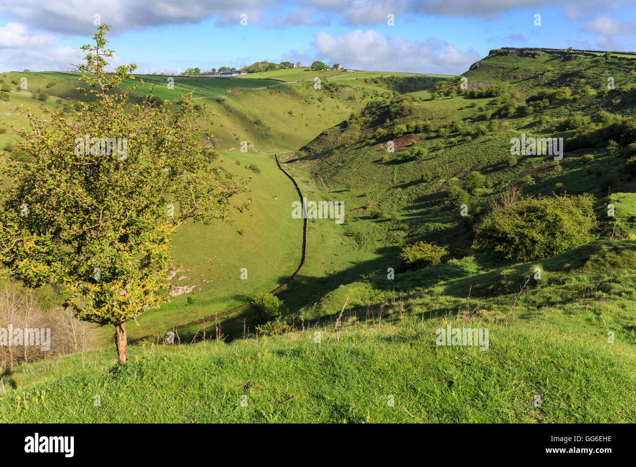 View cressbrook dale in derbyshire hi-res stock photography and images ...