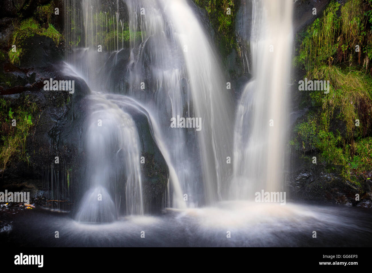 Posforth Gill Waterfall, Bolton Abbey, Yorkshire Dales, Yorkshire ...