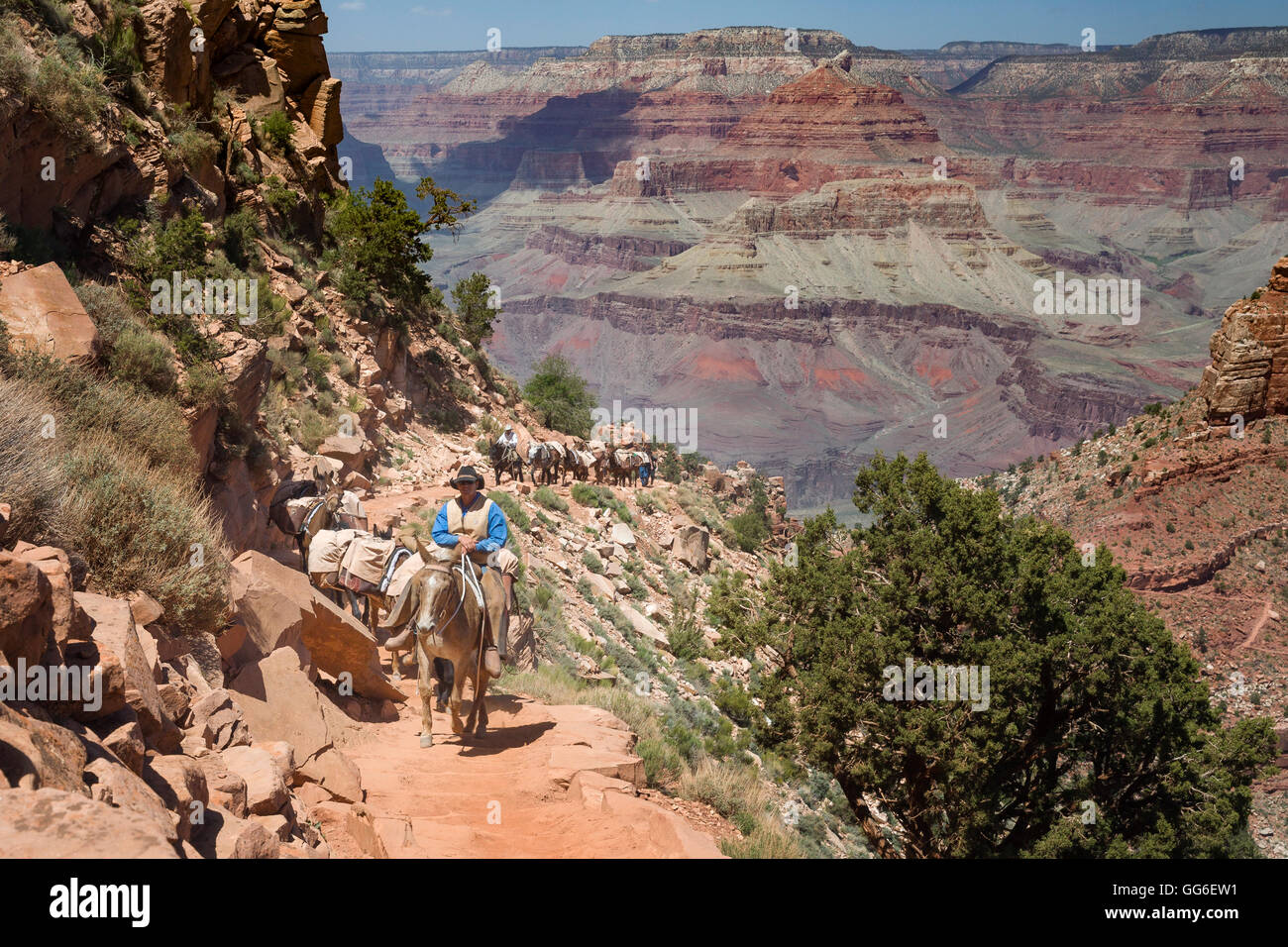 Cowboy riding horse pack horse hi-res stock photography and images - Alamy
