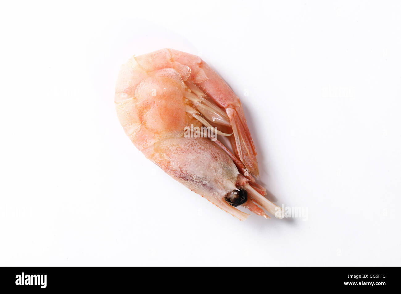 Shrimp eyes Cut Out Stock Images & Pictures - Alamy