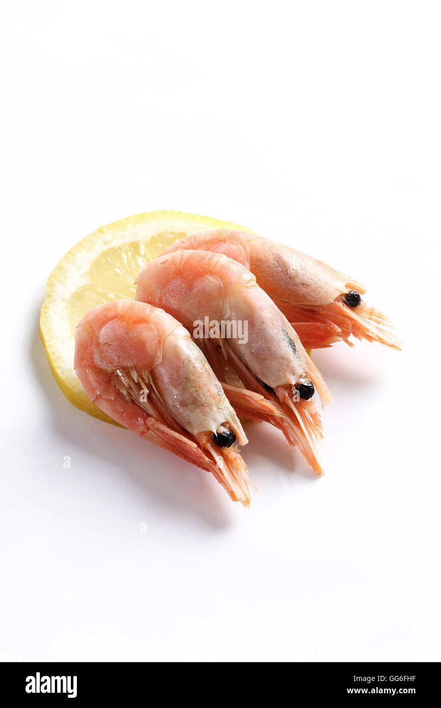Shrimp eyes Cut Out Stock Images & Pictures - Alamy