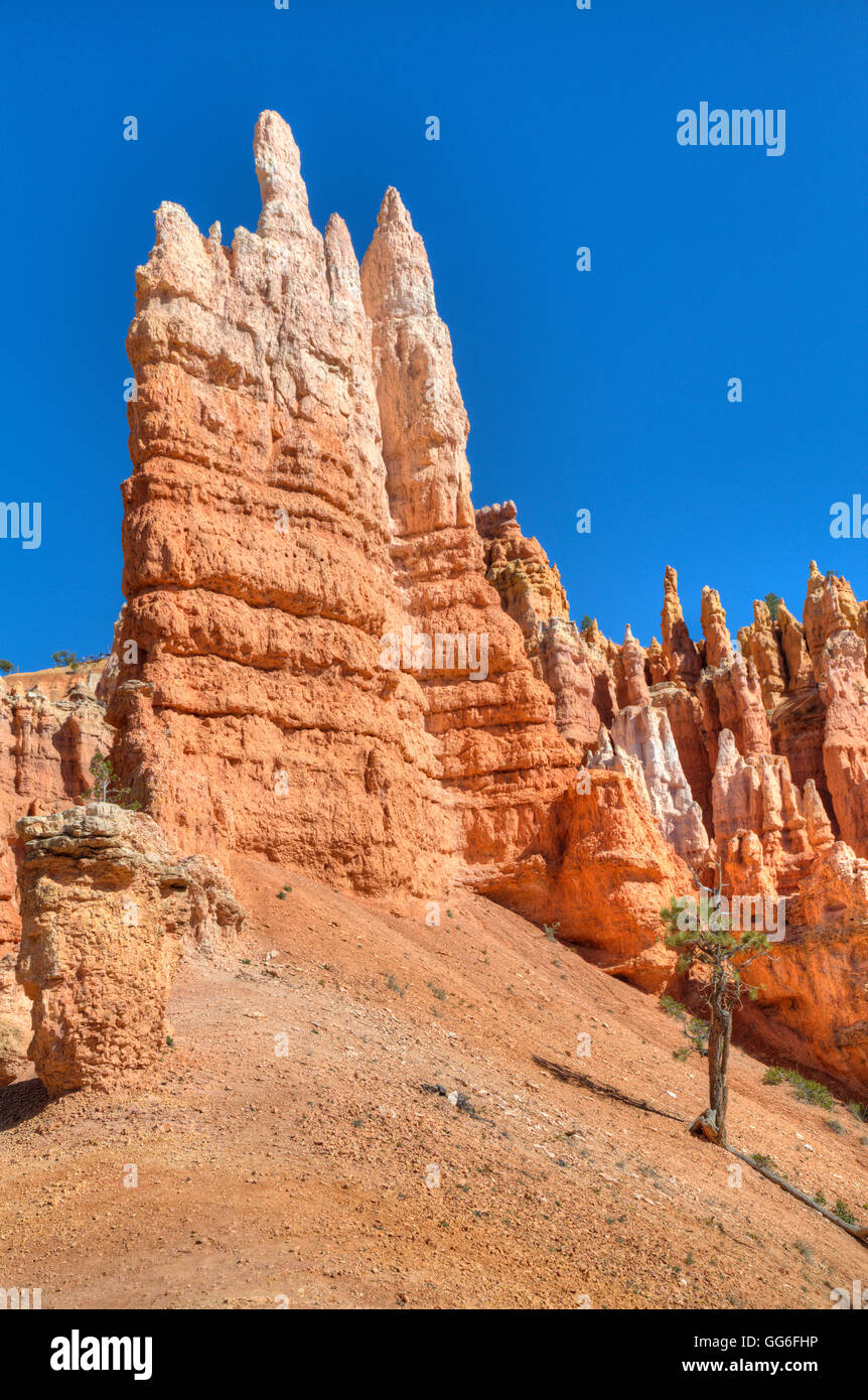 Hoodoos, on the Queens Garden Trail, Bryce Canyon National Park, Utah ...