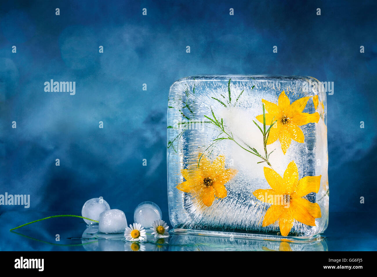 The composition of yellow flowers, frozen in ice Stock Photo - Alamy